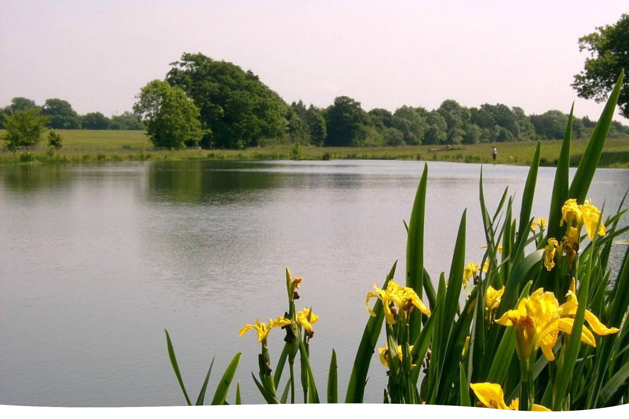 South Elmham Lakes - fly fishing for rainbow and brown trout